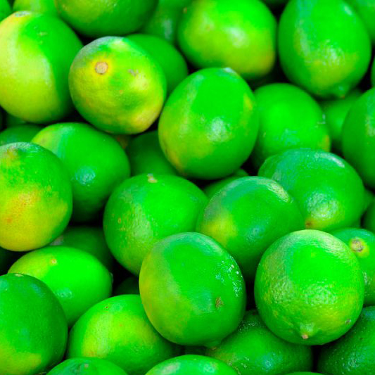 Produtos – Vasco Pinto