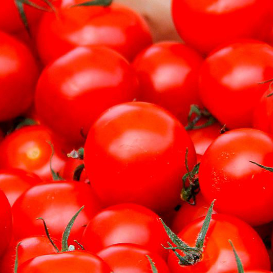 Produtos – Vasco Pinto